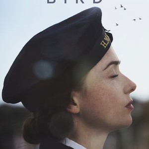 Little Bird - Rotten Tomatoes