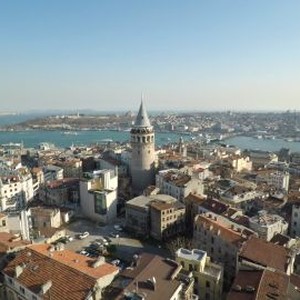 Kedi - Rotten Tomatoes