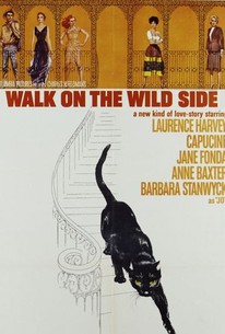 Walk on the Wild Side | Rotten Tomatoes