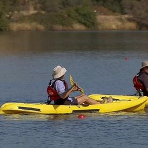 The Pool Master: Season 2, Episode 4 - Rotten Tomatoes