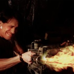 Lifeform - Rotten Tomatoes