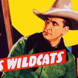 Texas Wildcats - Rotten Tomatoes