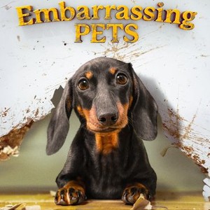 Embarrassing Pets - Rotten Tomatoes