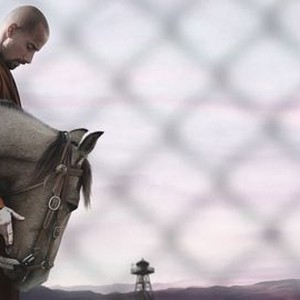 The Mustang - Rotten Tomatoes