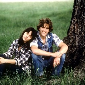 Tex - Rotten Tomatoes