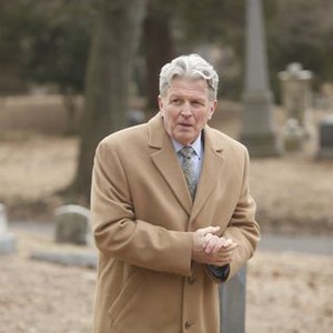 Sam Freed - Rotten Tomatoes