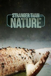 Stranger Than Nature | Rotten Tomatoes