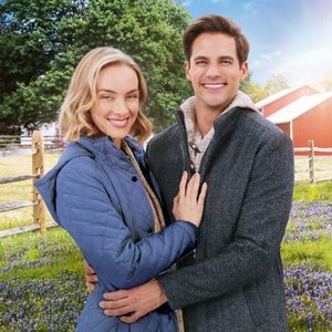 Timeless Love - Rotten Tomatoes