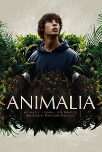 Animalia | Rotten Tomatoes
