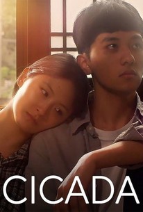 Cicada | Rotten Tomatoes