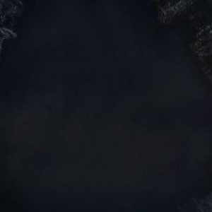 Dead North - Rotten Tomatoes