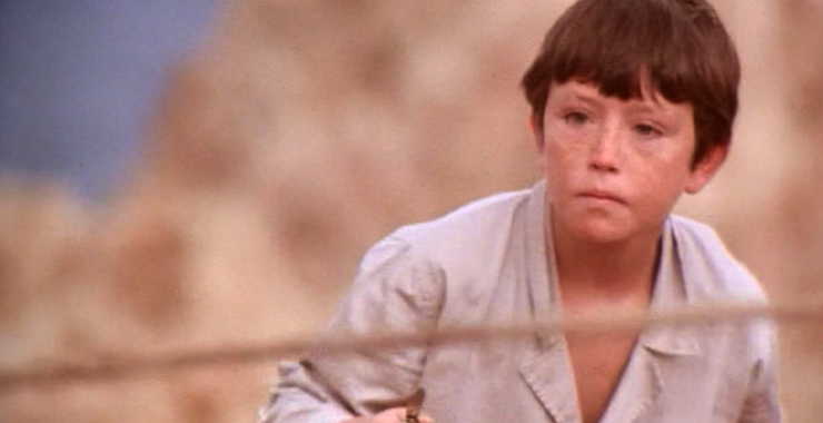 The Black Stallion - Rotten Tomatoes