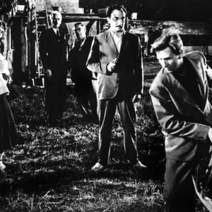 Uschi Digard - Rotten Tomatoes