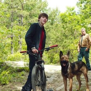 Josh Wiggins - Rotten Tomatoes