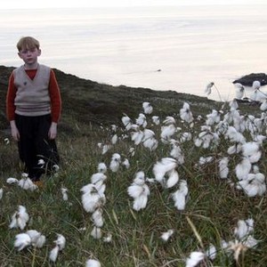 John Bell - Rotten Tomatoes