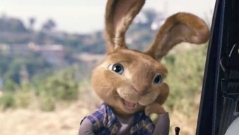 Hop - Rotten Tomatoes