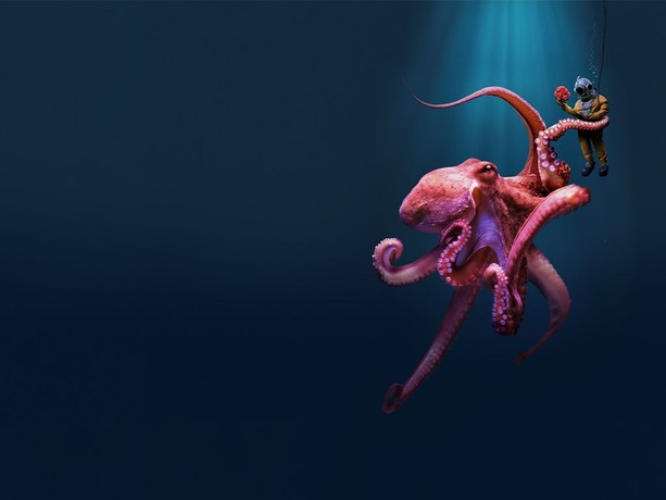 Octopus! | Rotten Tomatoes