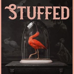 Stuffed - Rotten Tomatoes