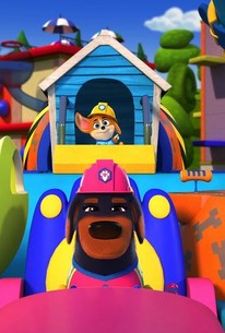 Pupstruction: Season 1, Episode 21 | Rotten Tomatoes