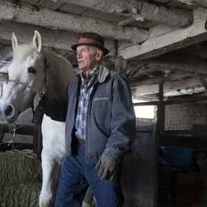 Falling - Rotten Tomatoes