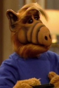 ALF: Season 4, Episode 3 | Rotten Tomatoes