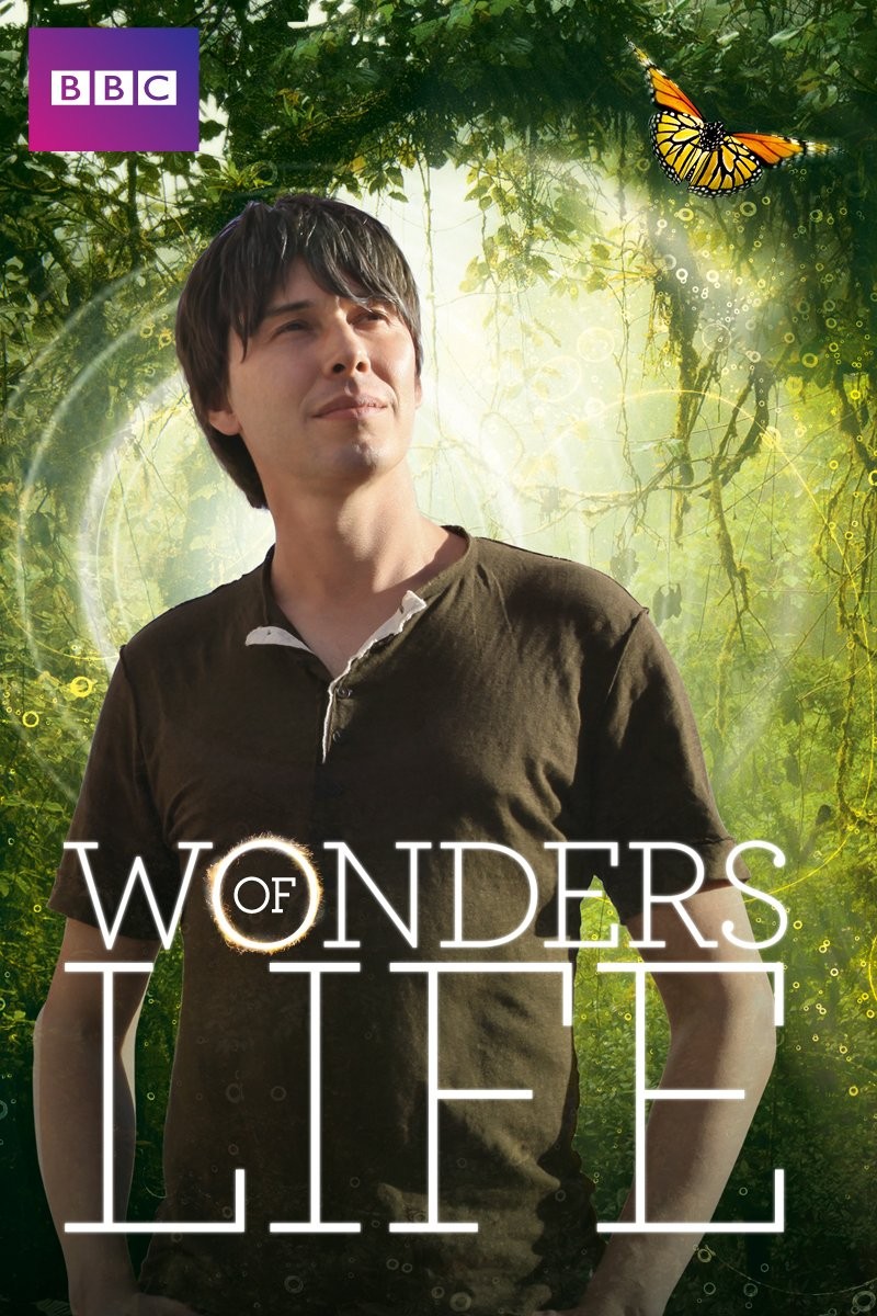 Wonders of Life: Season 1 Pictures | Rotten Tomatoes