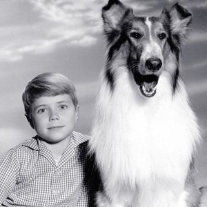 Lassie: Season 14, Episode 23 - Rotten Tomatoes