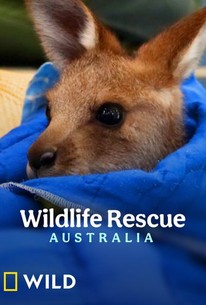 Wildlife Rescue Australia | Rotten Tomatoes