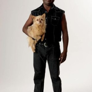 Leon Burchill - Rotten Tomatoes