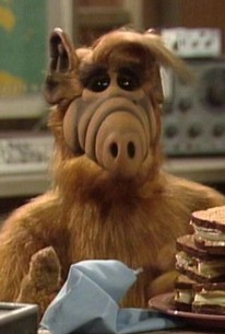 ALF: Season 3, Episode 15 | Rotten Tomatoes