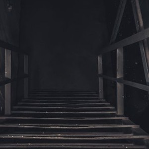 The Basement - Rotten Tomatoes