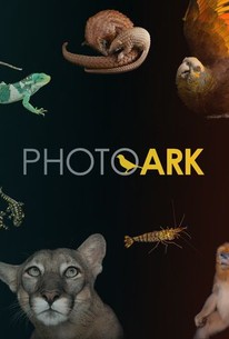 Photo Ark | Rotten Tomatoes