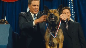 Max 2: White House Hero - Rotten Tomatoes