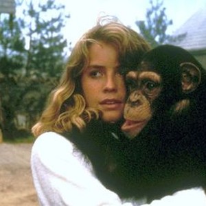 Link - Rotten Tomatoes