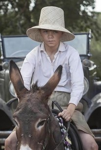 The Durrells: Season 1, Episode 5 | Rotten Tomatoes