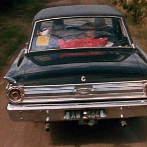 Death Warmed Up - Rotten Tomatoes