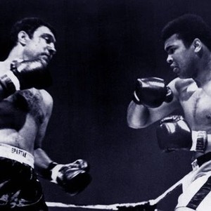 The Super Fight - Rotten Tomatoes