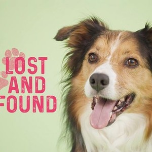 Lost and Found: Season 1, Episode 13 - Rotten Tomatoes