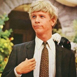 Willard (1971) - Rotten Tomatoes