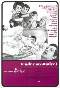 Tender Scoundrel | Rotten Tomatoes