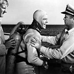 Max Showalter - Rotten Tomatoes