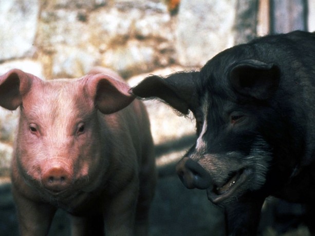 Animal Farm Movie 1999