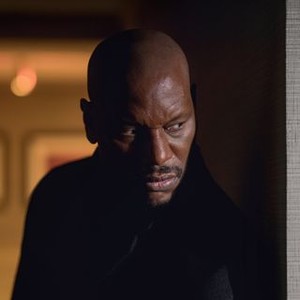 The Collective - Rotten Tomatoes