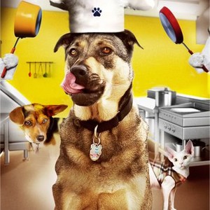 Rescue Dogs: The Movie - Rotten Tomatoes