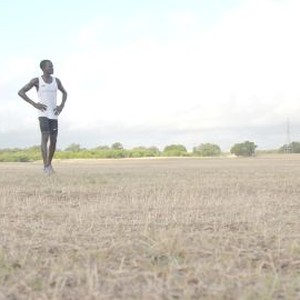 Runner - Rotten Tomatoes