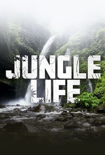 Jungle Life | Rotten Tomatoes
