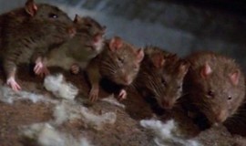 Graveyard Shift - Rotten Tomatoes