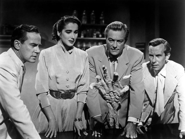Kathy Adams Actor 60 Photos - Moonagedaydream.film