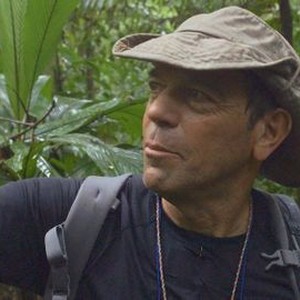 Steve Elkins - Rotten Tomatoes