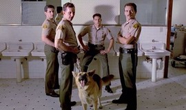 Reservoir Dogs - Trailers & Videos | Rotten Tomatoes